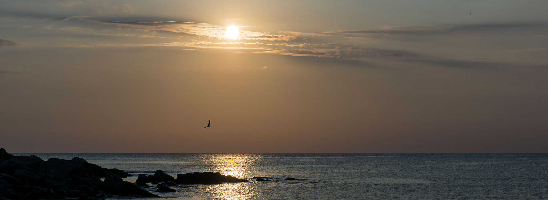 july-morning_slide • VASKION.com